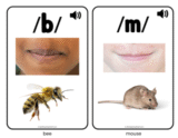 Sound Wall Cards With Real Mouth Photos - A to Z Teacher Stuff