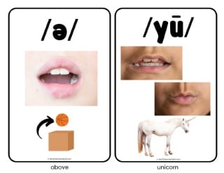 Sound Wall Cards With Real Mouth Photos - A to Z Teacher Stuff